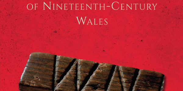 Welsh Not by Martin Johnes - Libreture